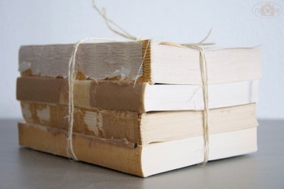 DIY Uncovered Book Bundle - KnockOffDecor