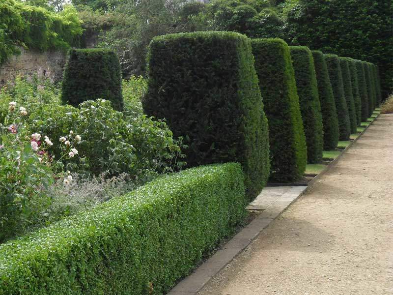 6 Ideas for Landscaping With Natural Elements - KnockOffDecor