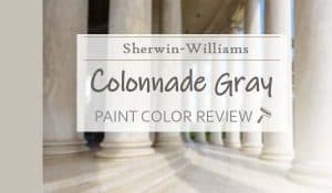 Sherwin Williams Colonnade Gray SW 7641 Review – The Must-Have Timeless ...