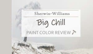 Sherwin Williams Big Chill Review – A Favorite Cool-Toned Gray ...