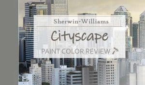 Sherwin Williams Cityscape Review - A Deep and Sophisticated Gray ...