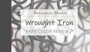 Benjamin Moore Wrought Iron Review – The Most Intimate Black - KnockOffDecor