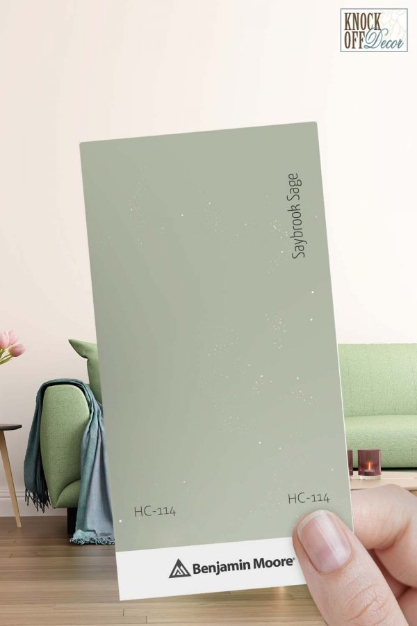 What Color is Sage? So Much More Than Just a Green - KnockOffDecor