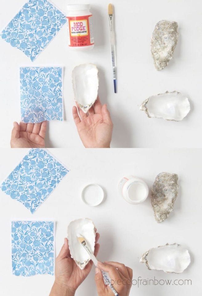 Easy and Beautiful DIY Oyster Shell Trinket Dish - KnockOffDecor