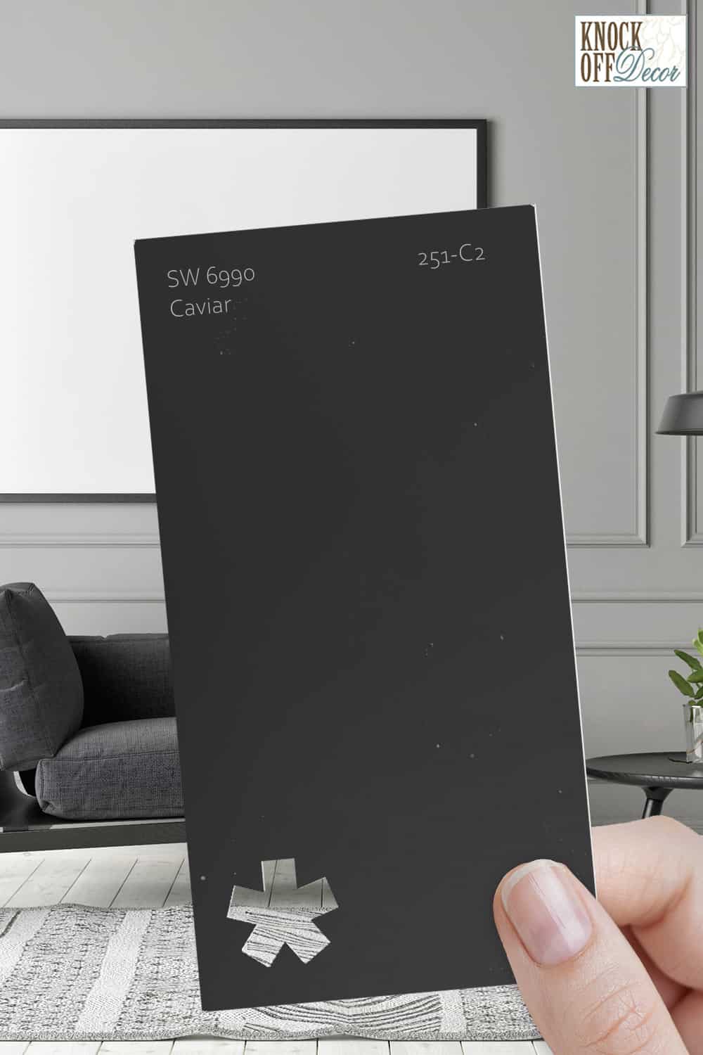 Sherwin Williams Caviar Review: Enhance Your Home with the Queen of ...
