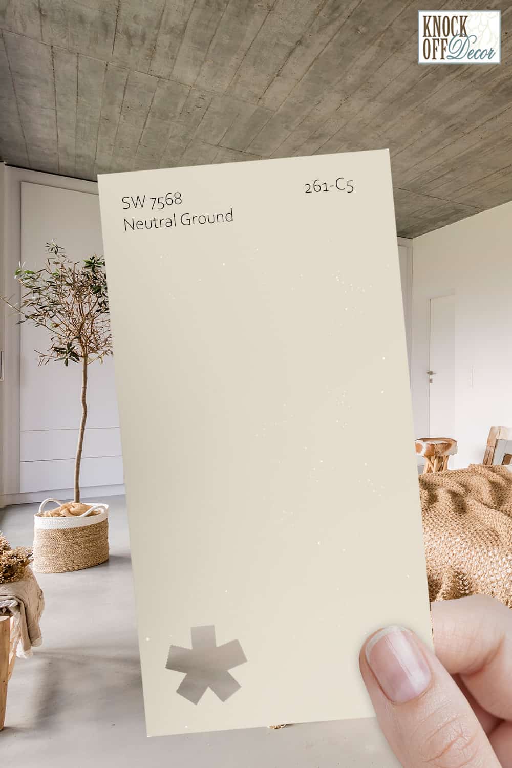 Sherwin-Williams Warm White Paint Colors: Most Popular + My Favorites ...