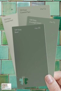 Sherwin Williams Basil SW Review – Timeless and Tranquil - KnockOffDecor