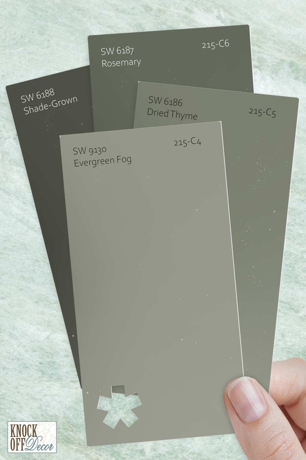 Sherwin Williams Evergreen Fog SW 9130 – How it Became Color of the ...