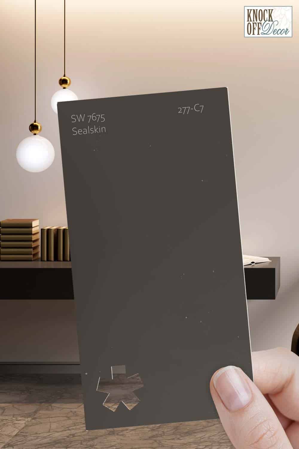 Sherwin Williams Sealskin Review – A Sleek and Natural Vibe Awaits ...