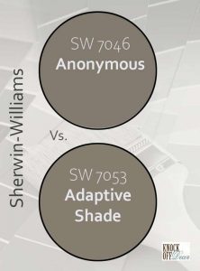 Sherwin Williams Anonymous Review – A Perfect Moody Neutral - KnockOffDecor