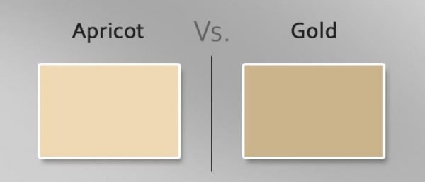 What Color is Peach and Why You Should Include It in Your Color Palette ...