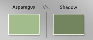 What Color is Sage? So Much More Than Just a Green - KnockOffDecor.com