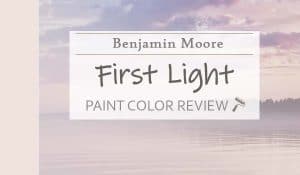 Benjamin Moore First Light Review – A Soft and Refreshing Rose Color ...