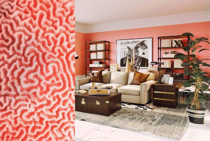 What Color is Coral and How to Add Its Joyful Bliss to Your Life ...