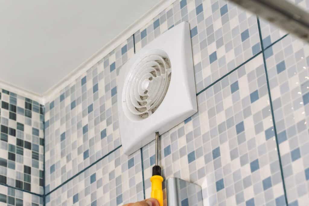 Remove Mold on Mirrors and Say Goodbye to Grimy Looking Glass ...