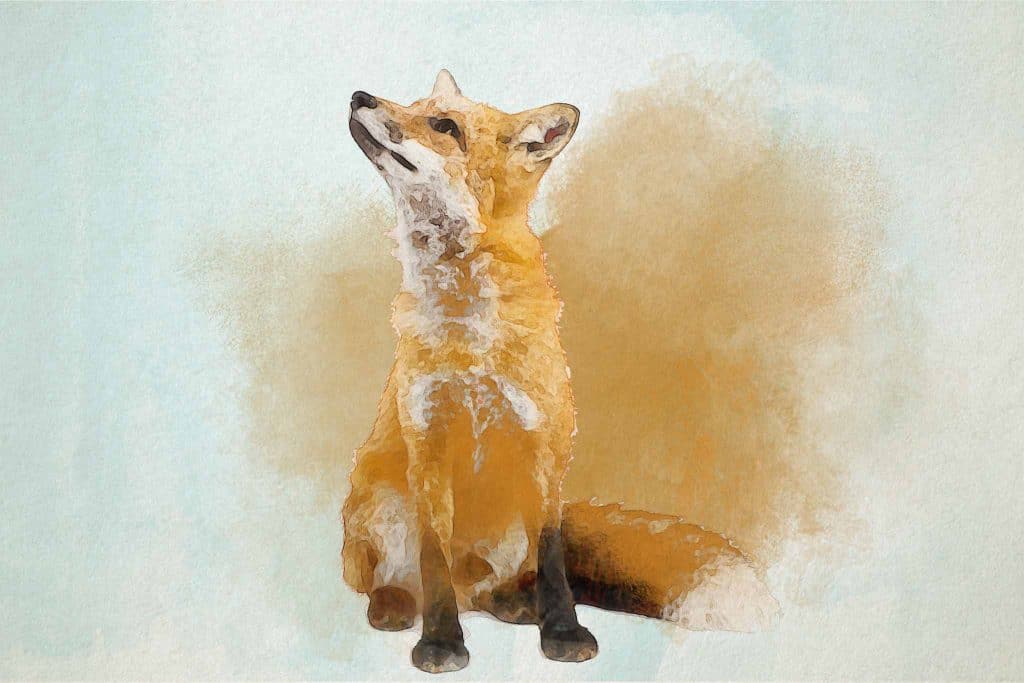 25+ Watercolor Fox Painting That Take Your Breath Away - KnockOffDecor