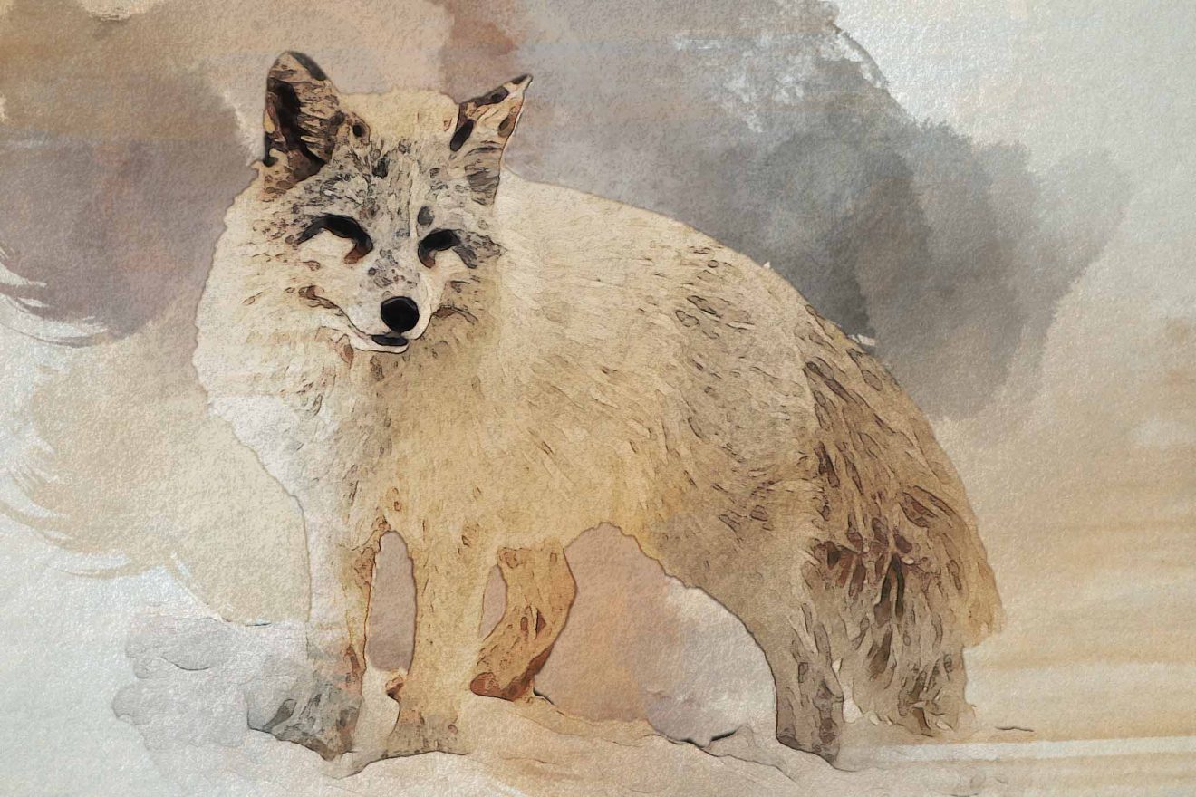 25+ Watercolor Fox Painting That Take Your Breath Away - KnockOffDecor