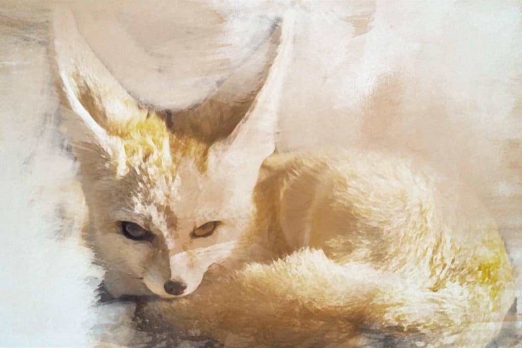 25+ Watercolor Fox Painting That Take Your Breath Away - KnockOffDecor