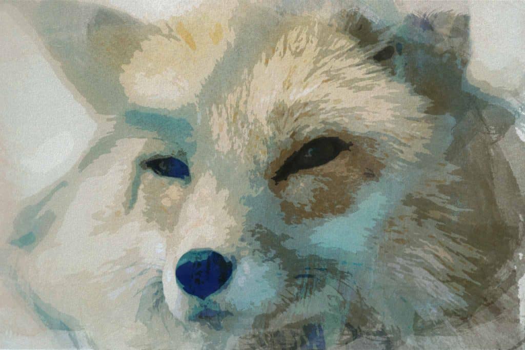 25+ Watercolor Fox Painting That Take Your Breath Away - KnockOffDecor