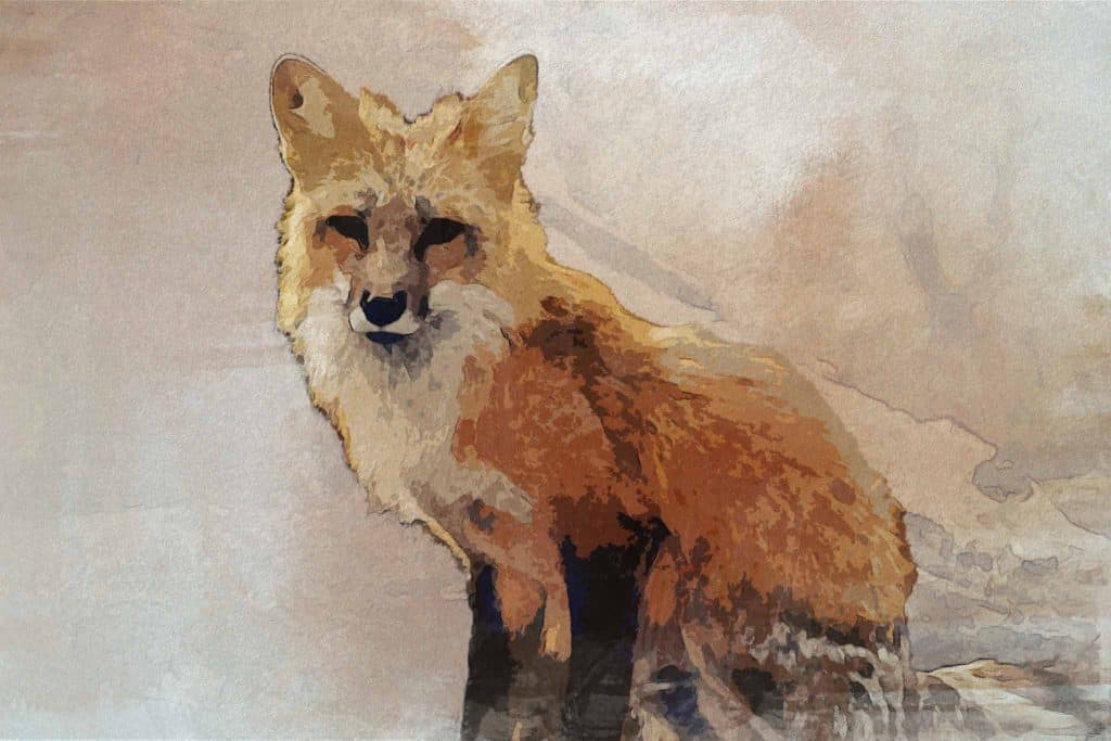 25+ Watercolor Fox Painting That Take Your Breath Away - KnockOffDecor.com