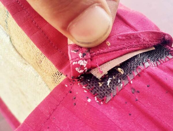 Furniture Bugs: How to Identify and Rid Them for Good - KnockOffDecor