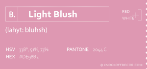 What Color is Blush? Defining One of the World's Most Popular Colors ...