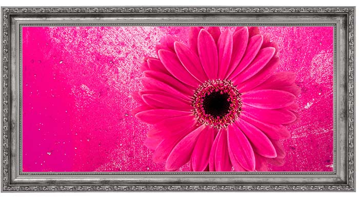 What Color Is Magenta? The Ultimate Guide to This Vibrant Hue ...