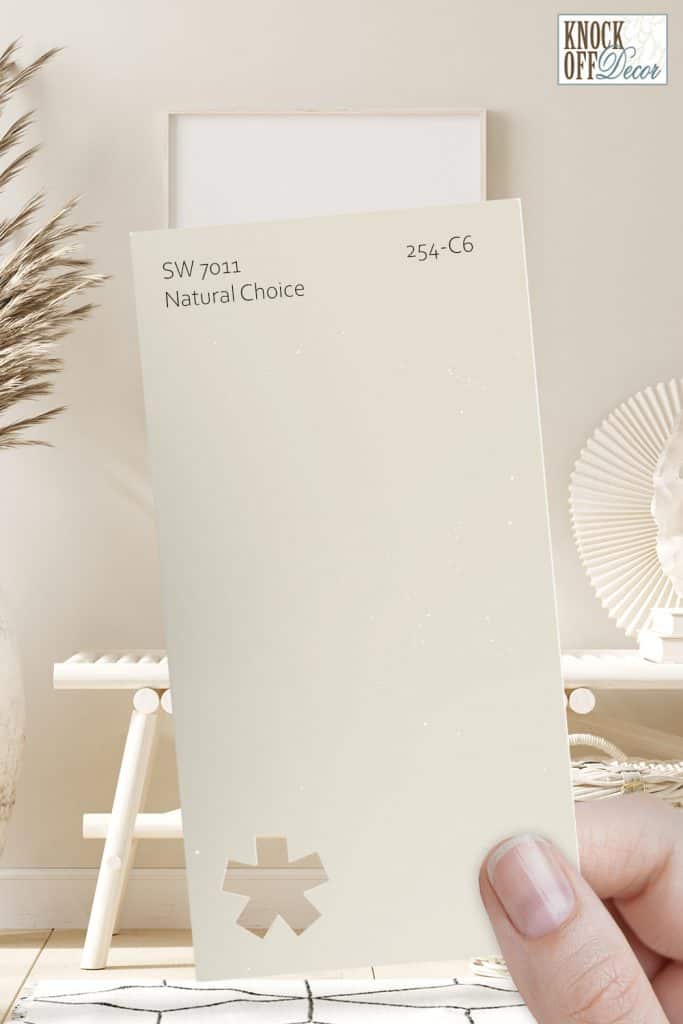 Sherwin Williams Natural Choice Review – Is it the Coziest Neutral ...