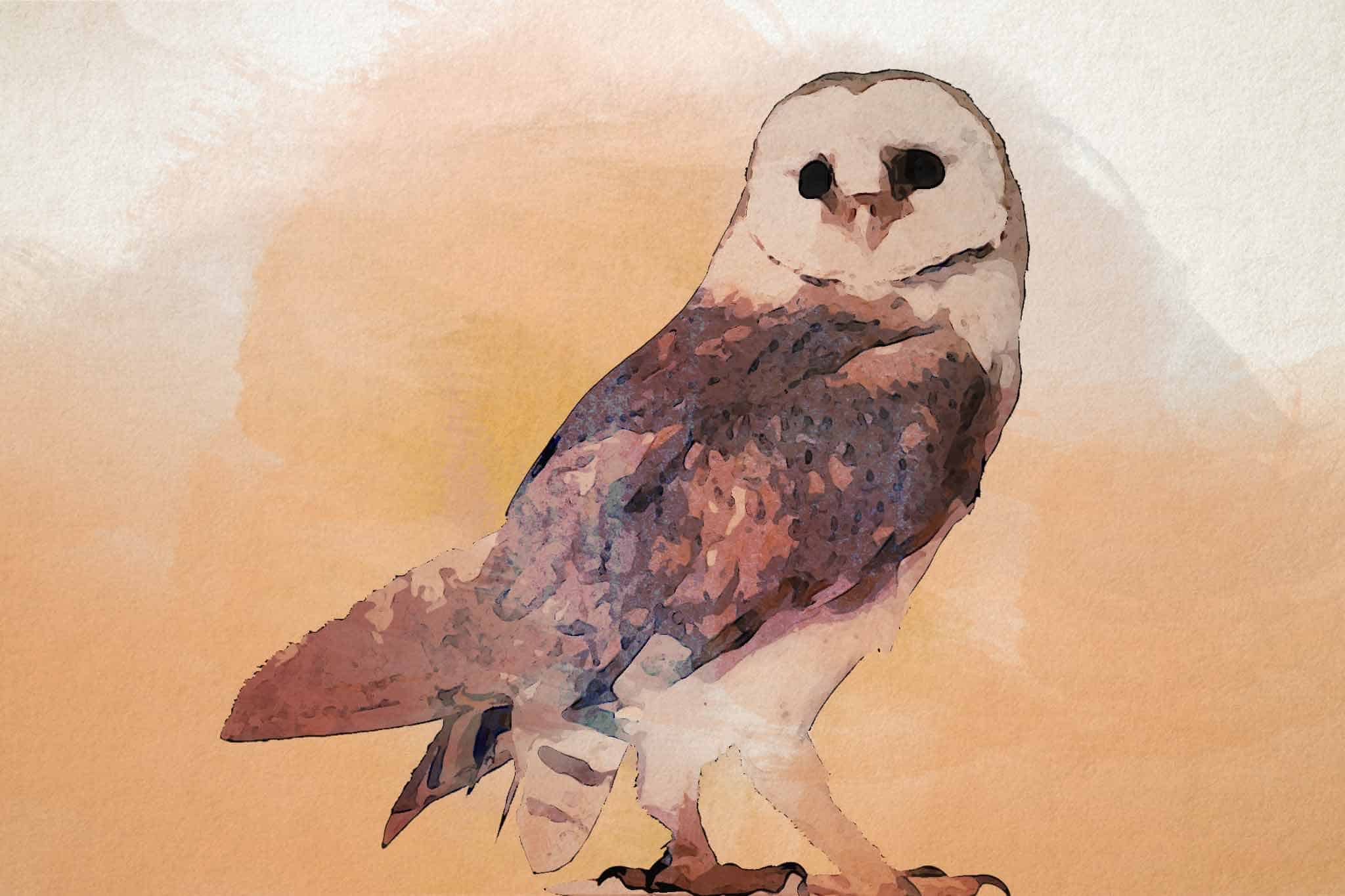 25+ Watercolor Owl Paintings: Embrace These Awe Inspiring Birds ...