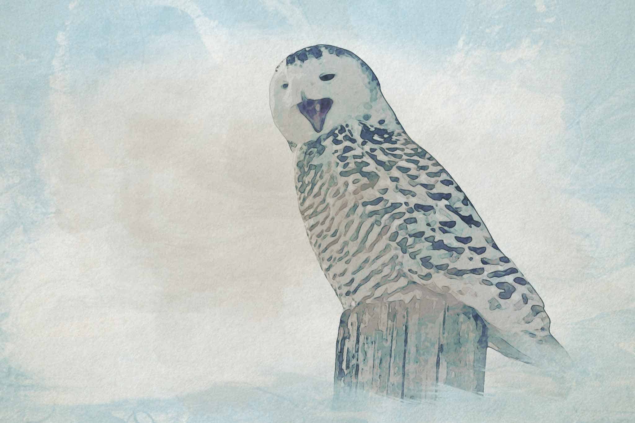 25+ Watercolor Owl Paintings: Embrace These Awe Inspiring Birds ...