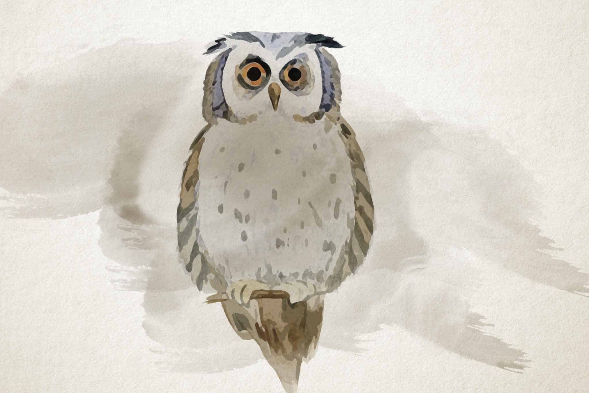 25+ Watercolor Owl Paintings: Embrace These Awe Inspiring Birds ...