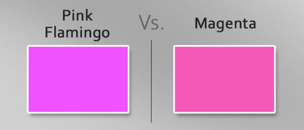 What Color Is Magenta? The Ultimate Guide to This Vibrant Hue ...