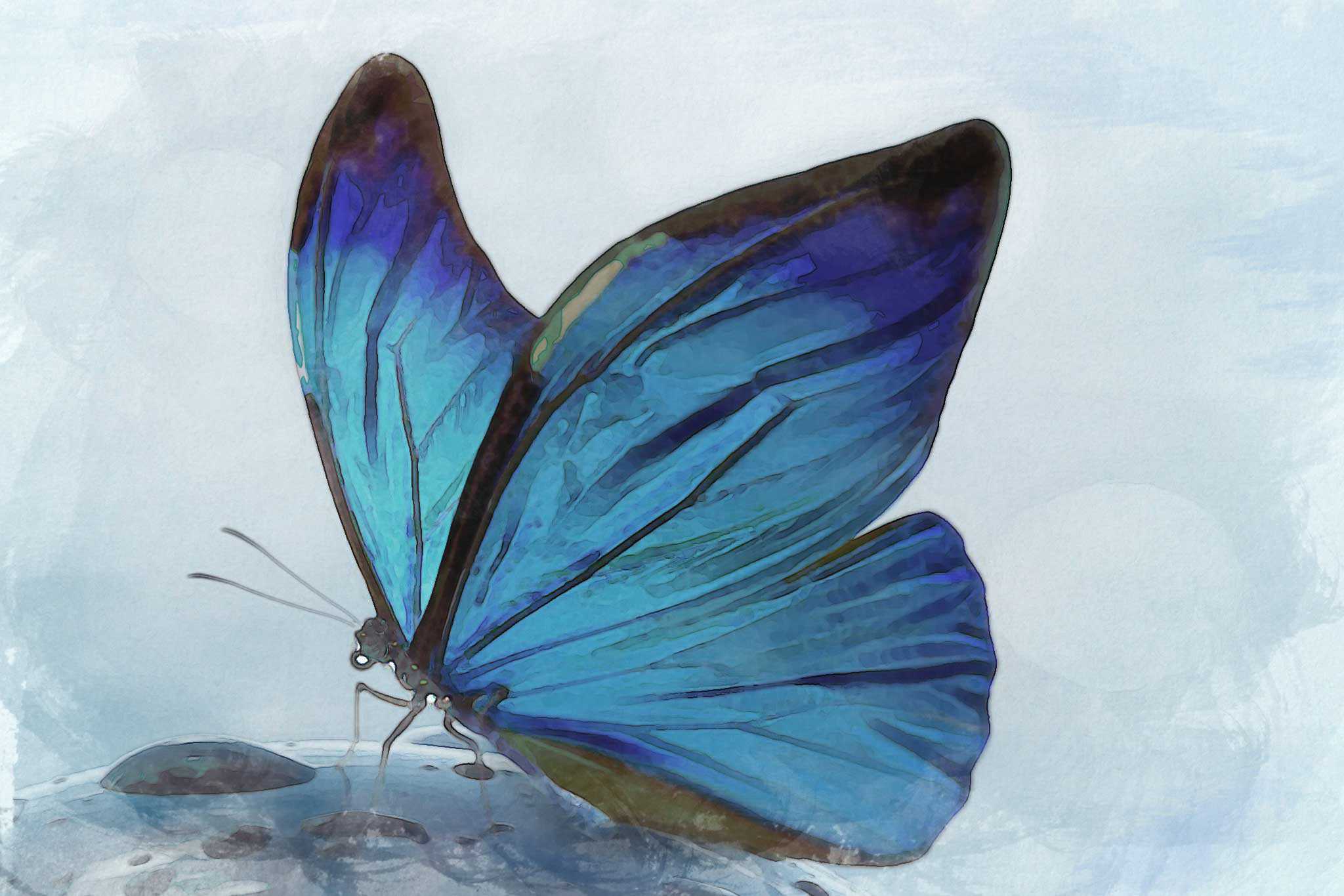 Watercolor Butterfly: 21 Inspiring Designs! - KnockOffDecor