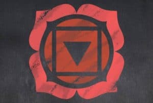 What Color is Coral and How to Add Its Joyful Bliss to Your Life ...