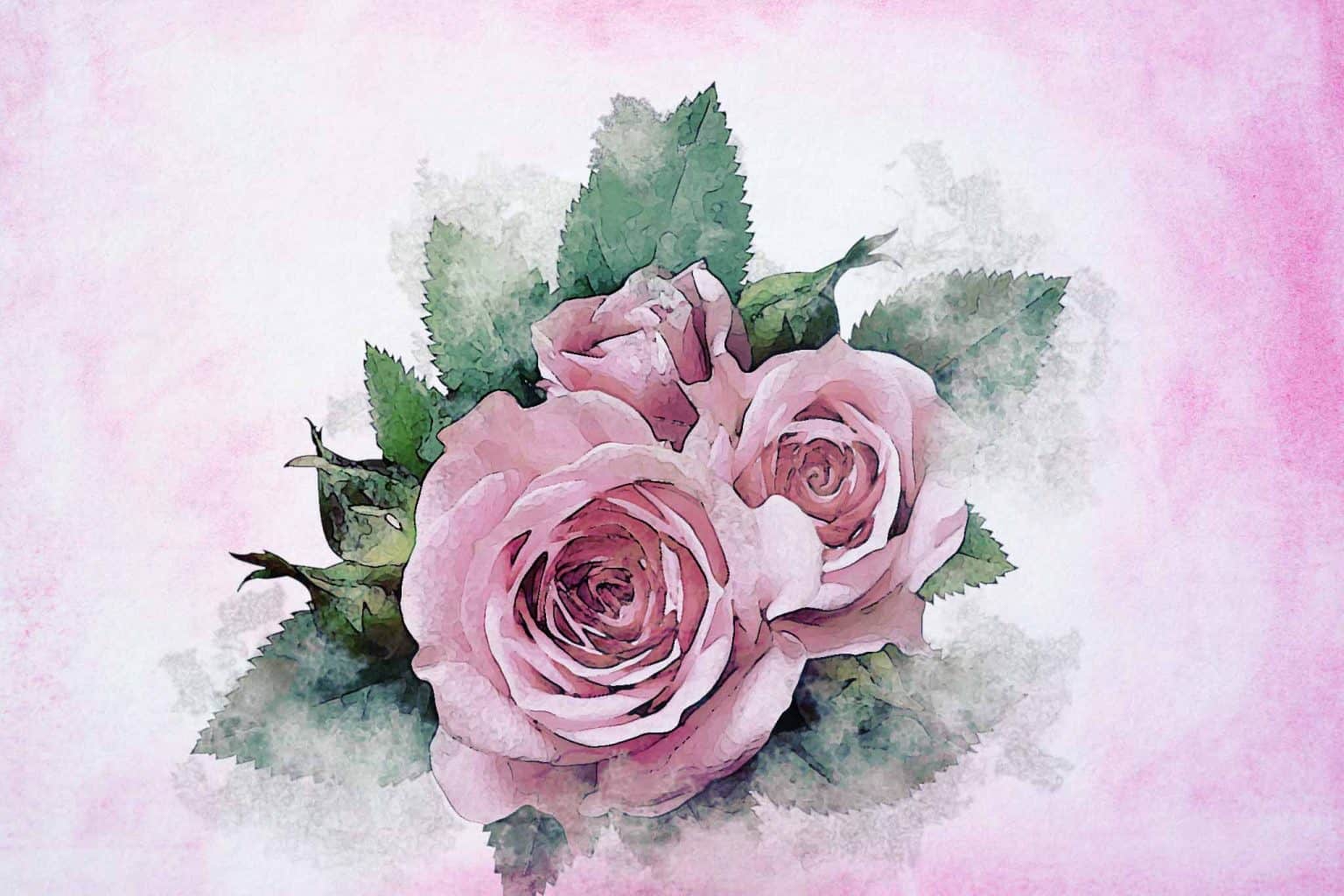 25+ Watercolor Roses to Inspire your Artistry - KnockOffDecor