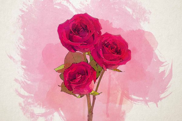 25+ Watercolor Roses to Inspire your Artistry - KnockOffDecor