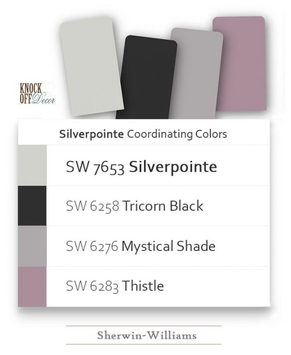 Sherwin Williams Silverpointe Review – Silver or Crispy Gray ...