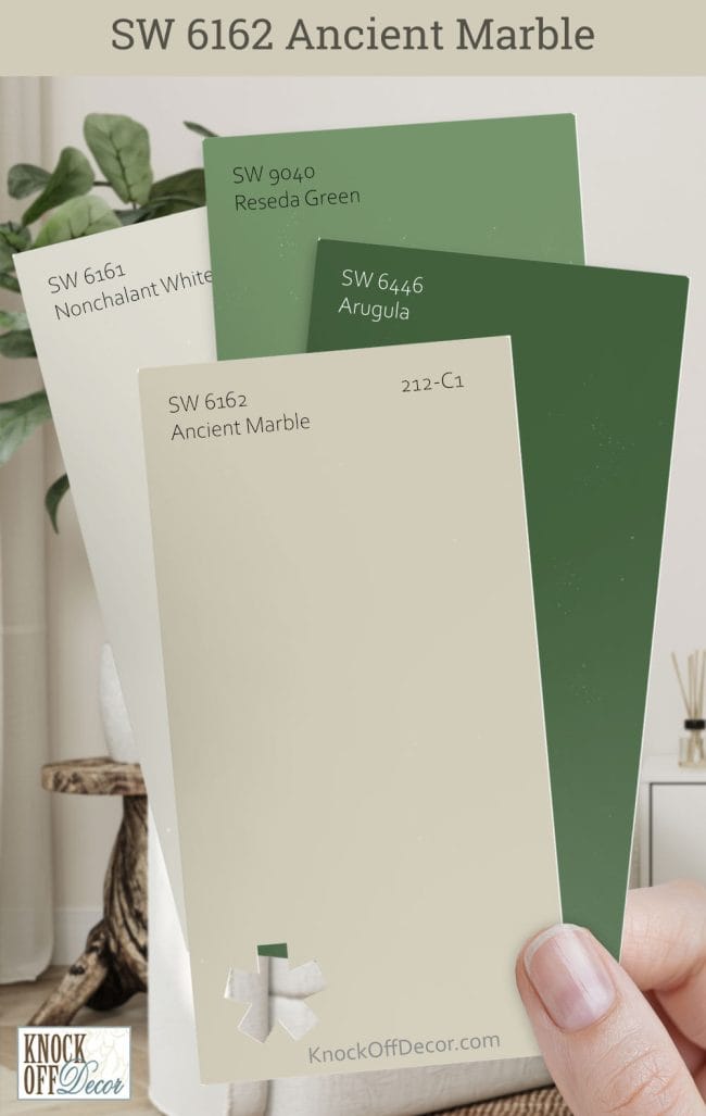 Sherwin Williams Ancient Marble Color SW 6162 – The Serene Green ...