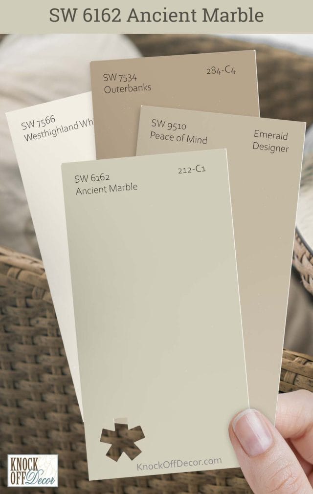 Sherwin Williams Ancient Marble Color SW 6162 – The Serene Green ...