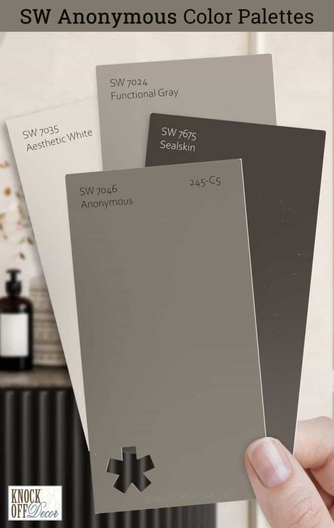 Sherwin Williams Anonymous Review – A Perfect Moody Neutral - KnockOffDecor