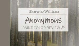 Sherwin Williams Anonymous Review – A Perfect Moody Neutral - KnockOffDecor
