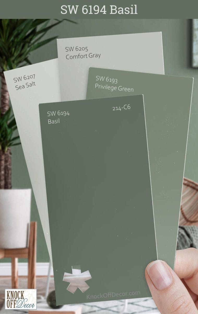 Sherwin Williams Basil SW Review – Timeless and Tranquil - KnockOffDecor