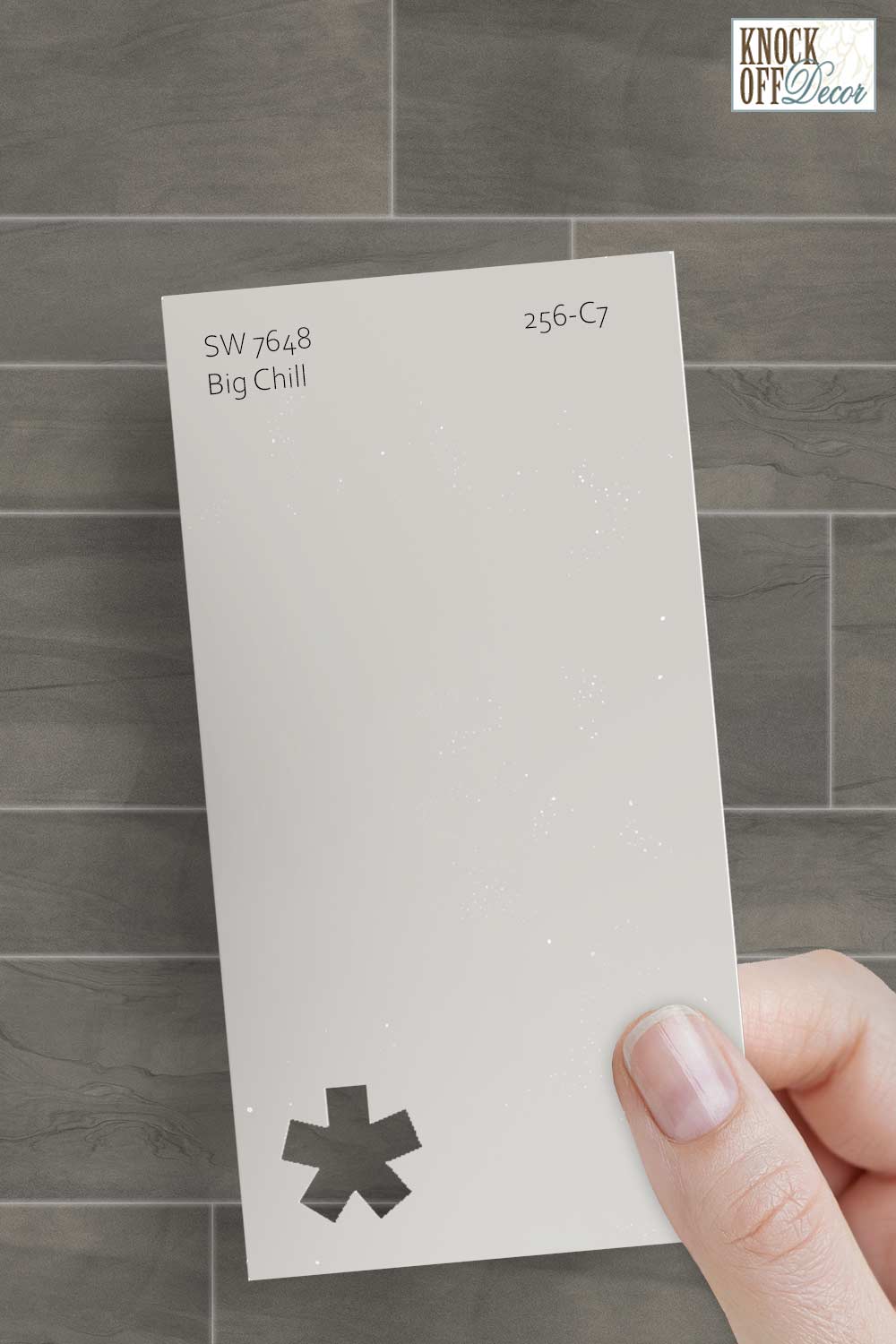 Sherwin Williams Big Chill Review – A Favorite Cool-Toned Gray ...