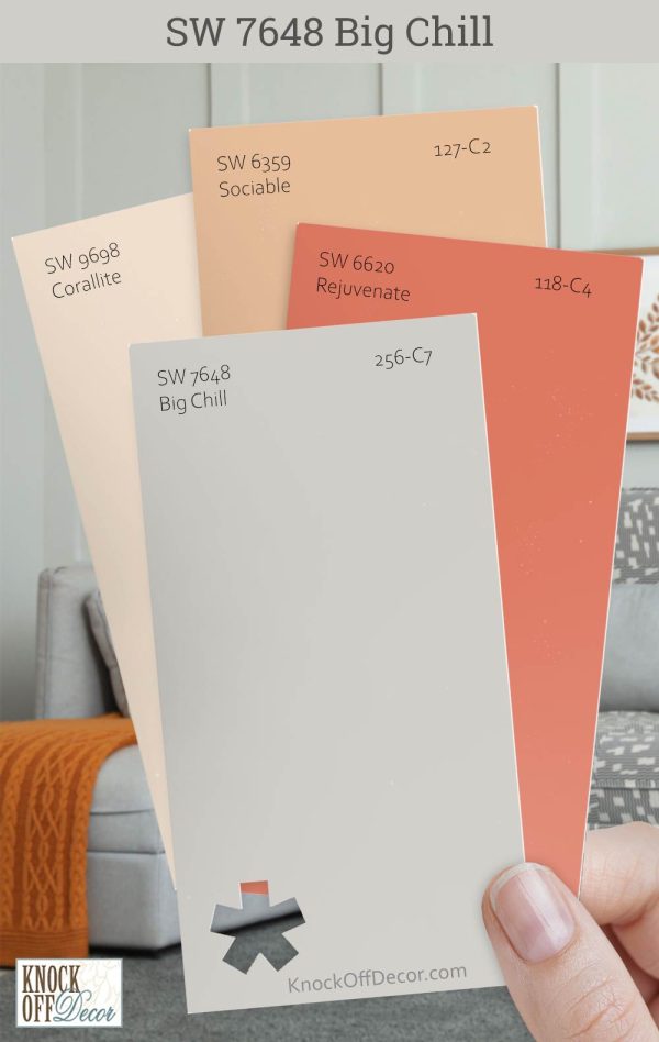 Sherwin Williams Big Chill Review – A Favorite Cool-Toned Gray ...