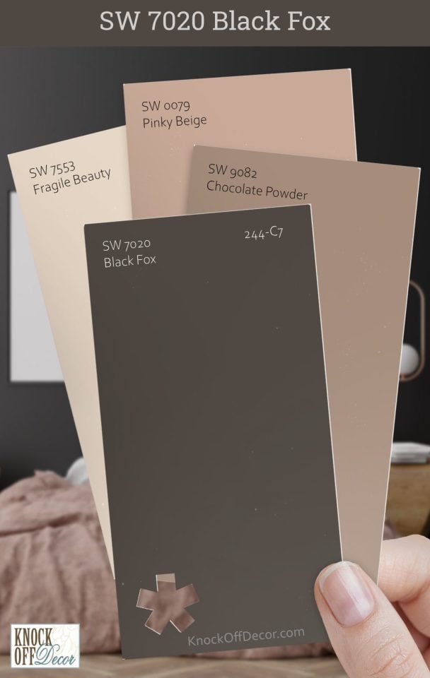 Sherwin Williams Black Fox SW 7020 Review – A Warm and Dignified Black ...