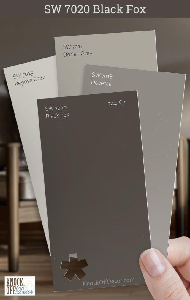 Sherwin Williams Black Fox SW 7020 Review – A Warm and Dignified Black ...