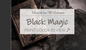 Sherwin Williams Black Magic Review - Your ULTIMATE Black - KnockOffDecor