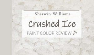 Sherwin Williams Crushed Ice Rview – A Warm Gray and Pastel to Delight ...