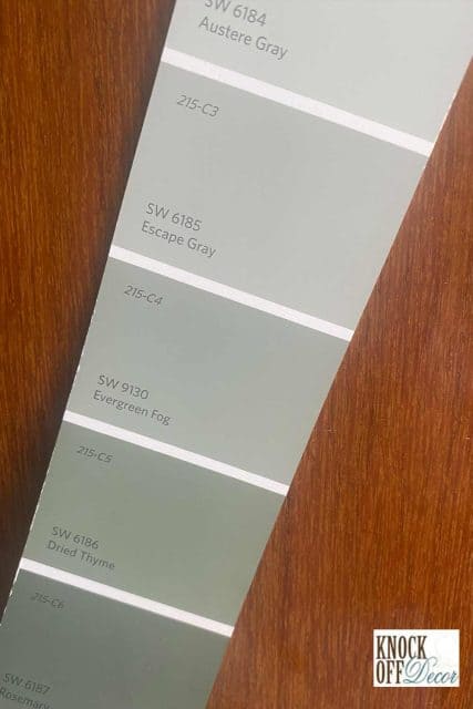 Sherwin Williams Dried Thyme Review – The Trending Sage Green Paint ...