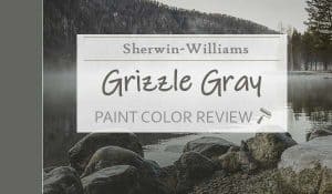 Sherwin Williams Grizzle Gray Review – A Dark and Dramatic Charcoal ...